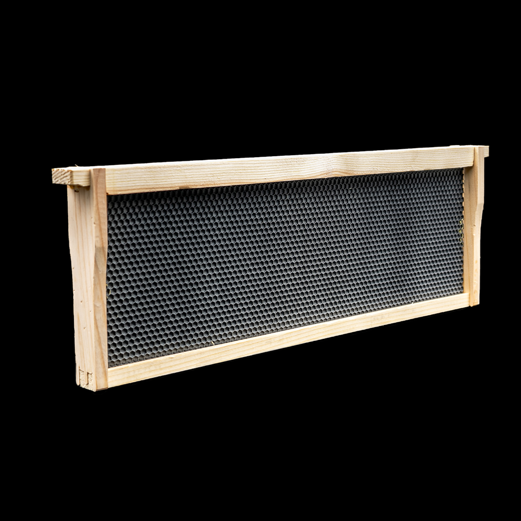 Medium Assembled Wooden Frames with Waxed Foundation – Apimaye USA