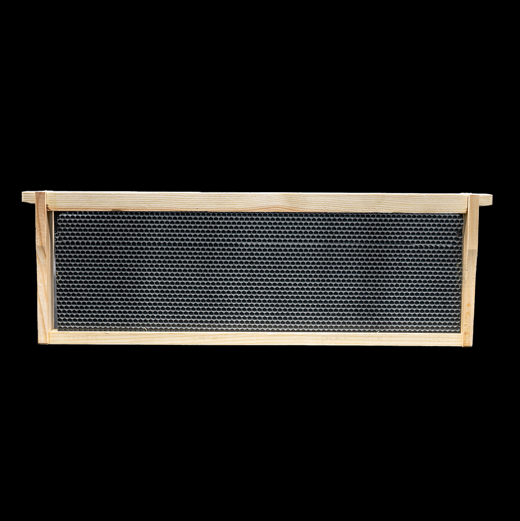 Medium Assembled Wooden Frames with Waxed Foundation – Apimaye USA
